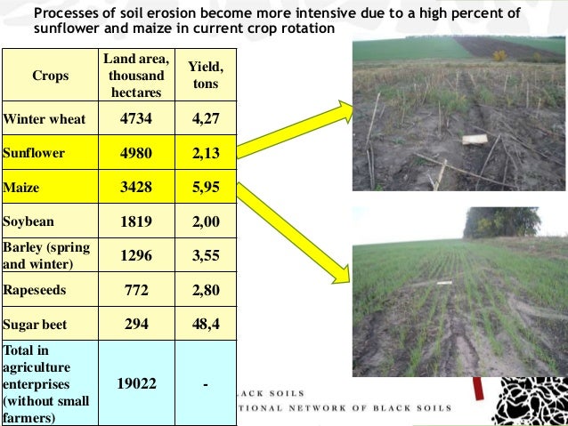 Status of Black Soils in Ukraine