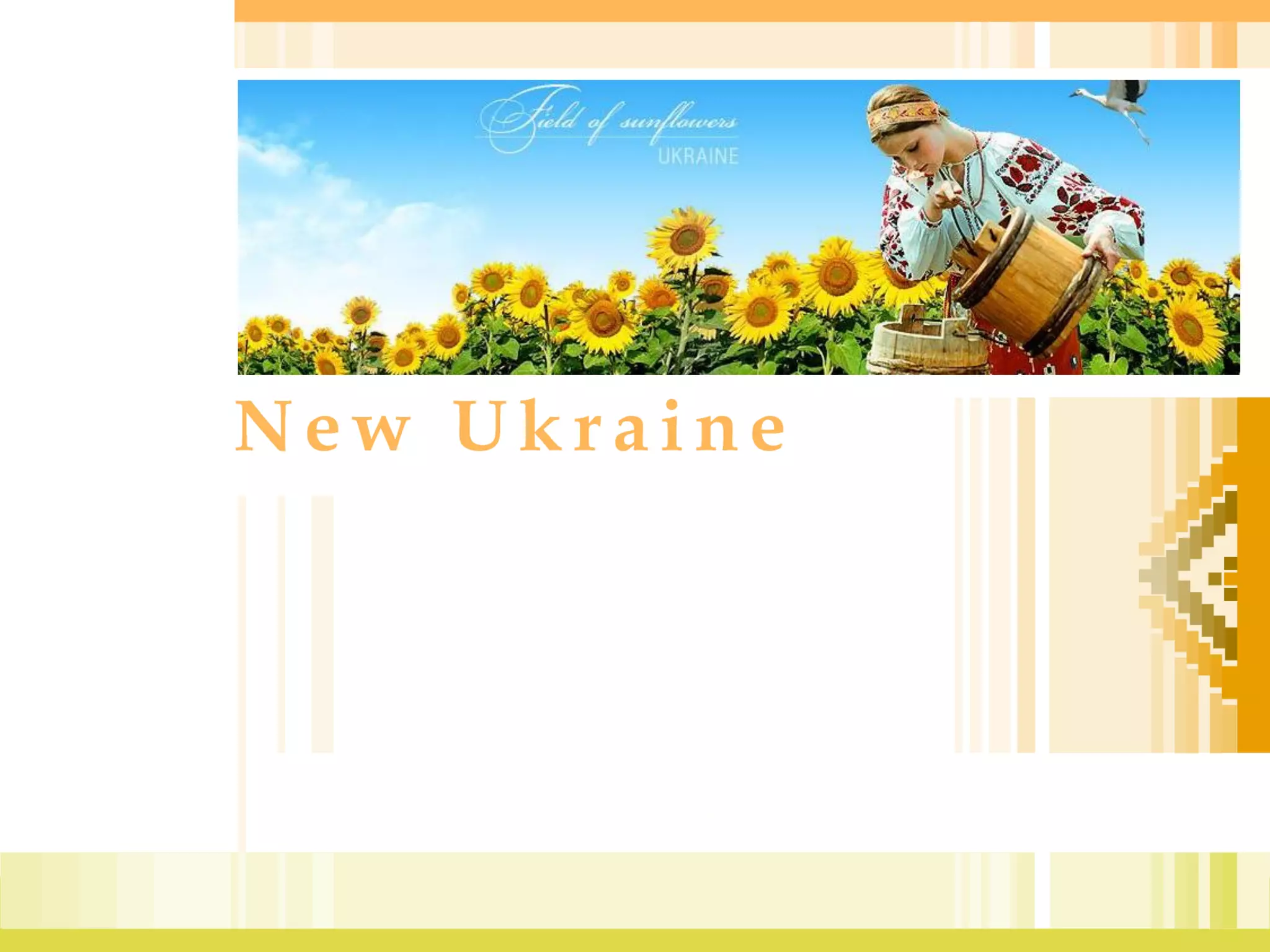 Ukraine Presentation | PDF