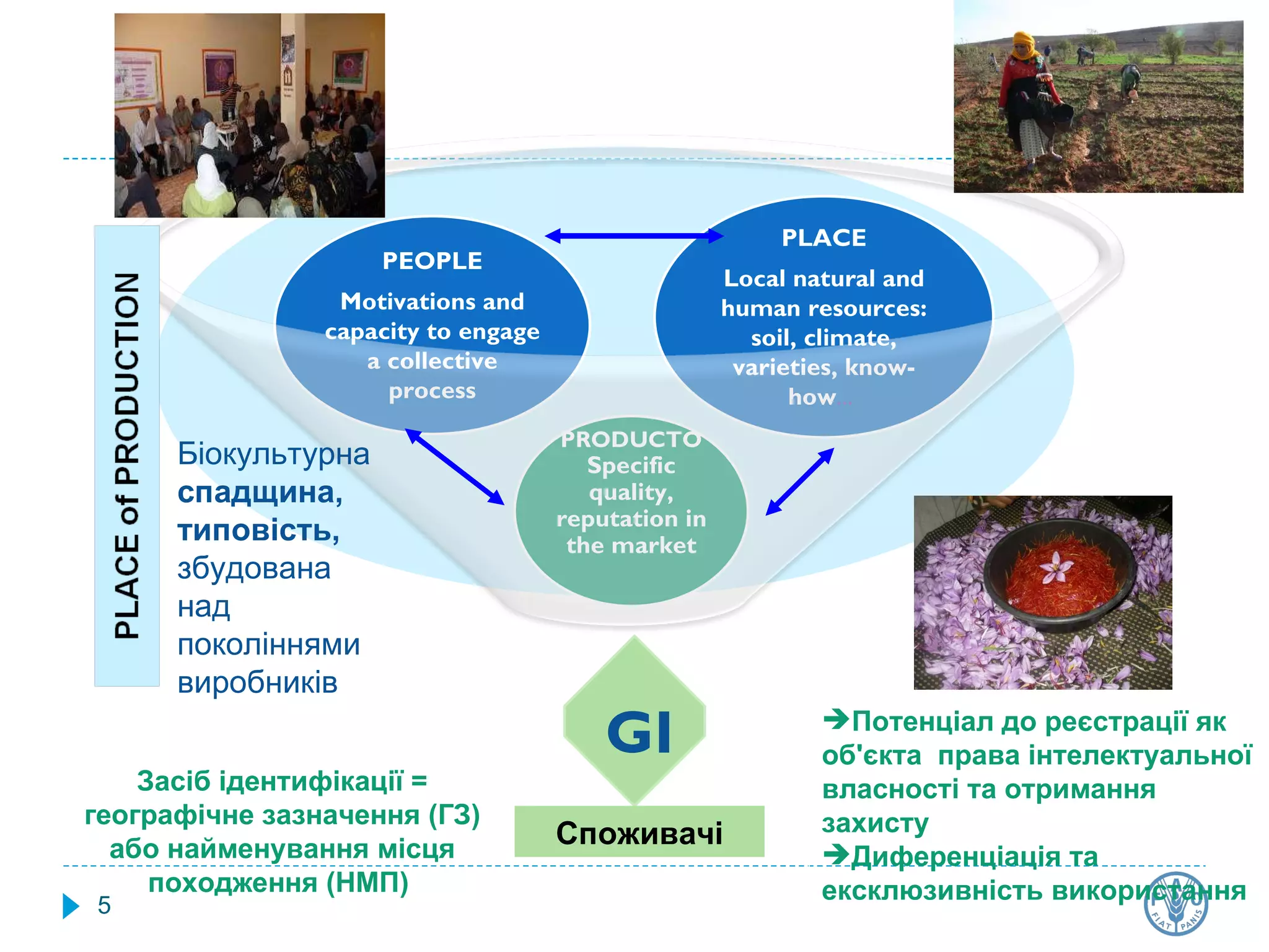 Markus Klingler GI Presentation | PPT