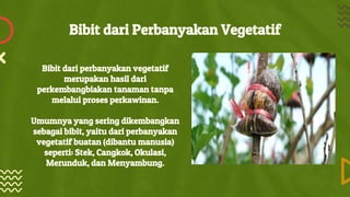 BIBIT BERKUALITAS TABULAMPOT HANI PRAWITRI | PPT