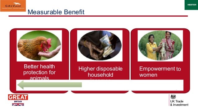 Animal Health: Local Problem - Global Issue