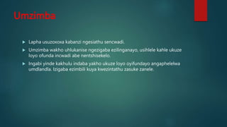 Ukubhala nokwethula PRESENTATION.pptx