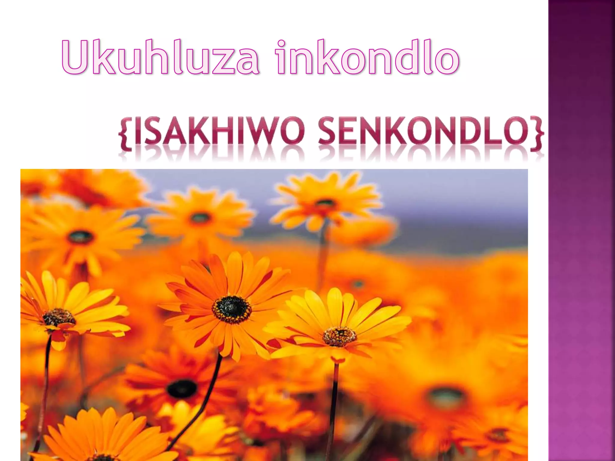 Ukuhluza inkondlo | PPTX