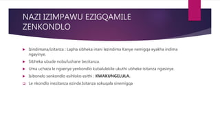 Ukuhluzwa kwezinkondlo | PPTX