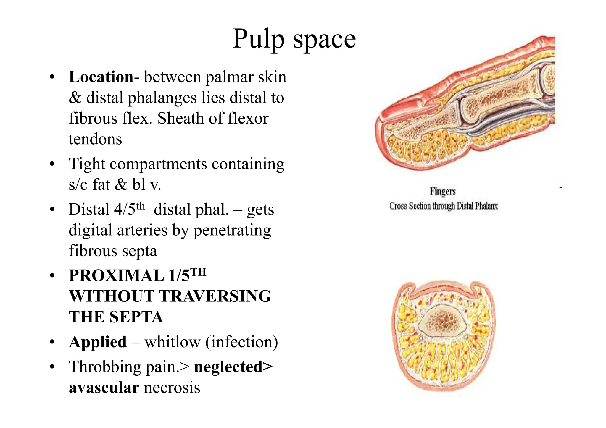 UL-fascial spaces in palm upper limb topic in anatomy (1).pdf