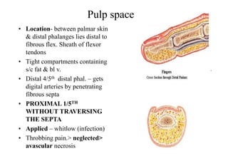 UL-fascial spaces in palm upper limb topic in anatomy (1).pdf