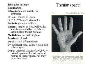 UL-fascial spaces in palm upper limb topic in anatomy (1).pdf