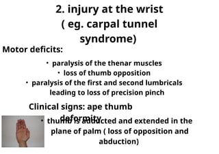 ULNAR AND MEDIAN NERVE PRESENTATION SLIDE. | PPTX