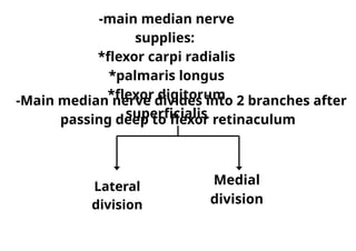 ULNAR AND MEDIAN NERVE PRESENTATION SLIDE. | PPTX
