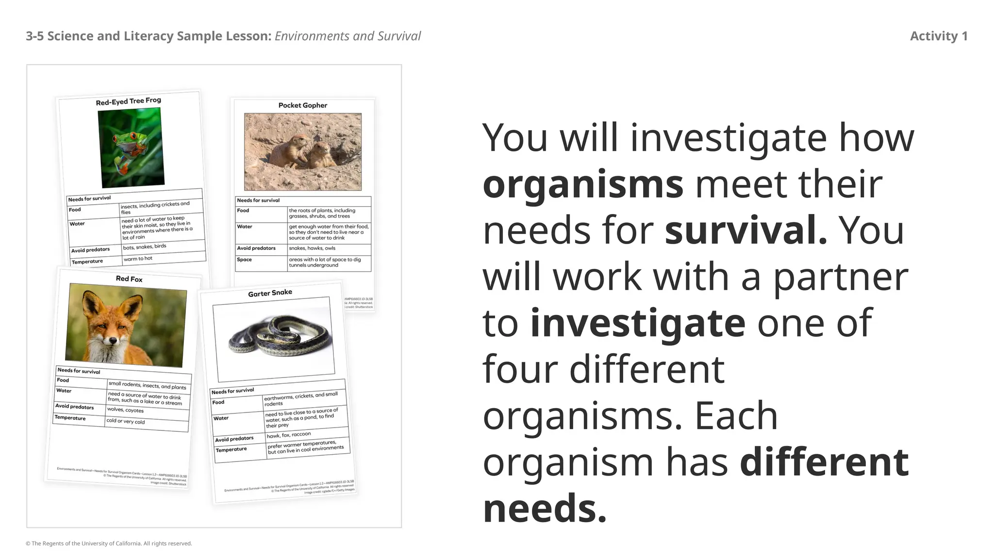 Copy_of_3-5_ScienceLiteracy_Lesson_Sample_--_Environments_and_Survival.pptx