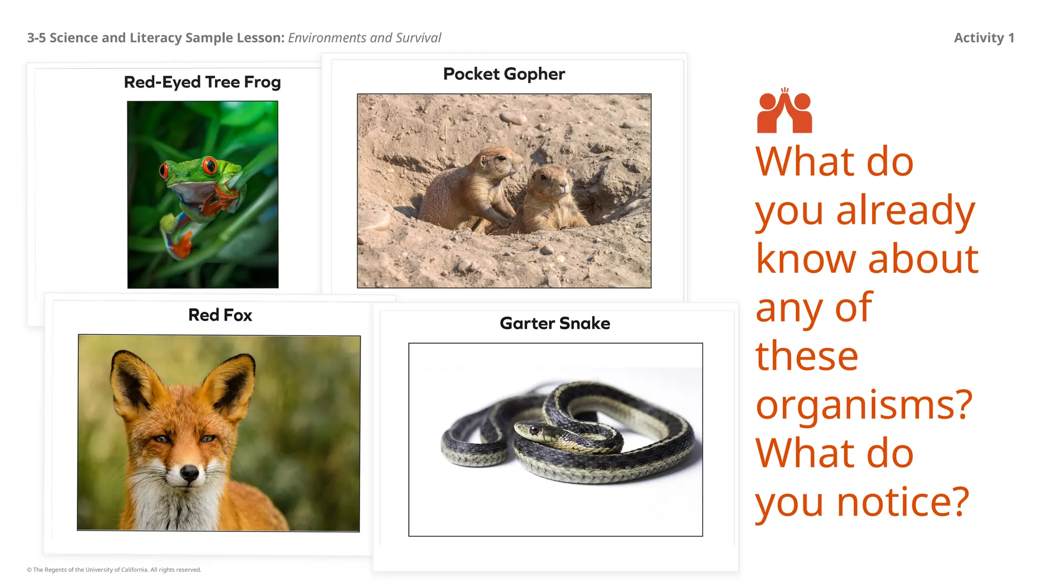 Copy_of_3-5_ScienceLiteracy_Lesson_Sample_--_Environments_and_Survival.pptx