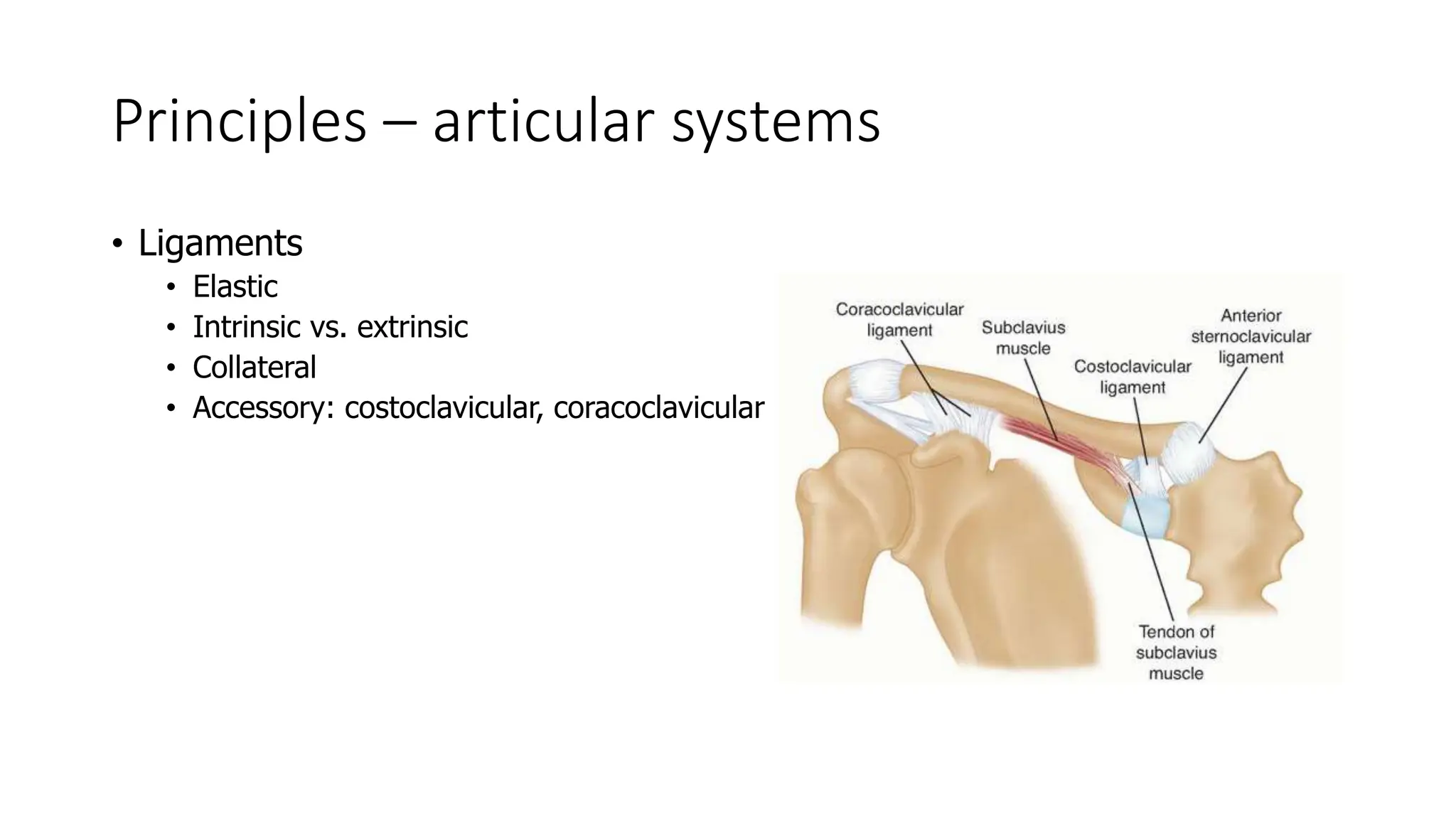 Principle of osteology upper limbs anatomy | PPT