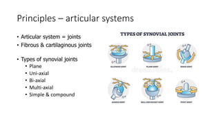 Principle of osteology upper limbs anatomy | PPT