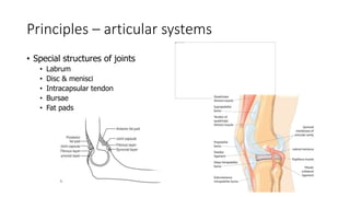 Principle of osteology upper limbs anatomy | PPT