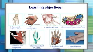 Hand and Wrist | PDF