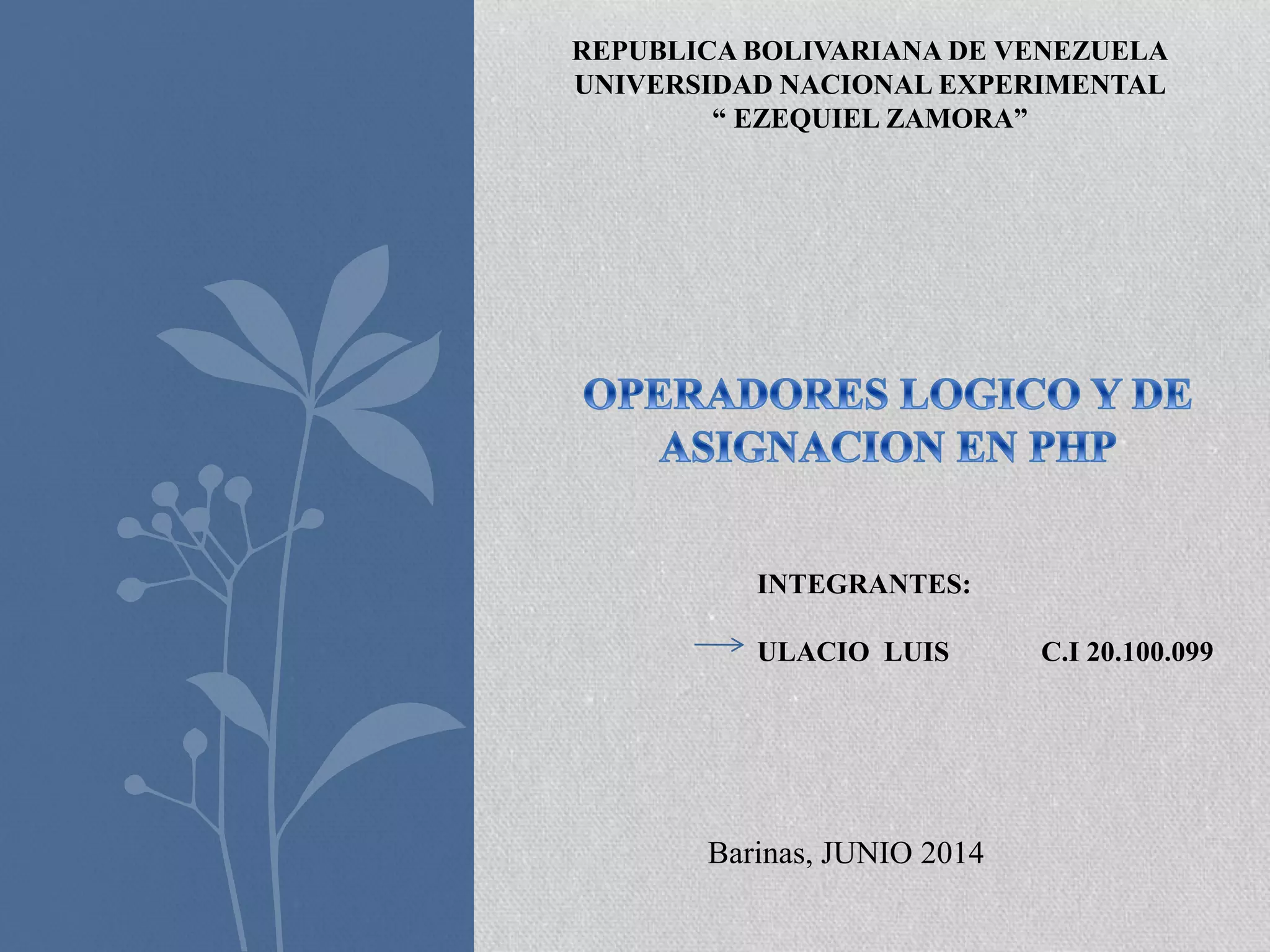 OPERADORES LÓGICOS Y DE ASIGNACIÓN DE PHP | PPT | Descarga Gratuita