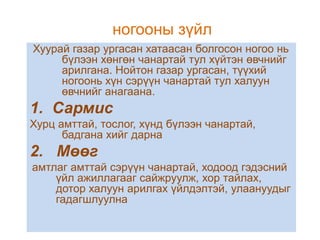 Ulamj idee undaa | PPTX