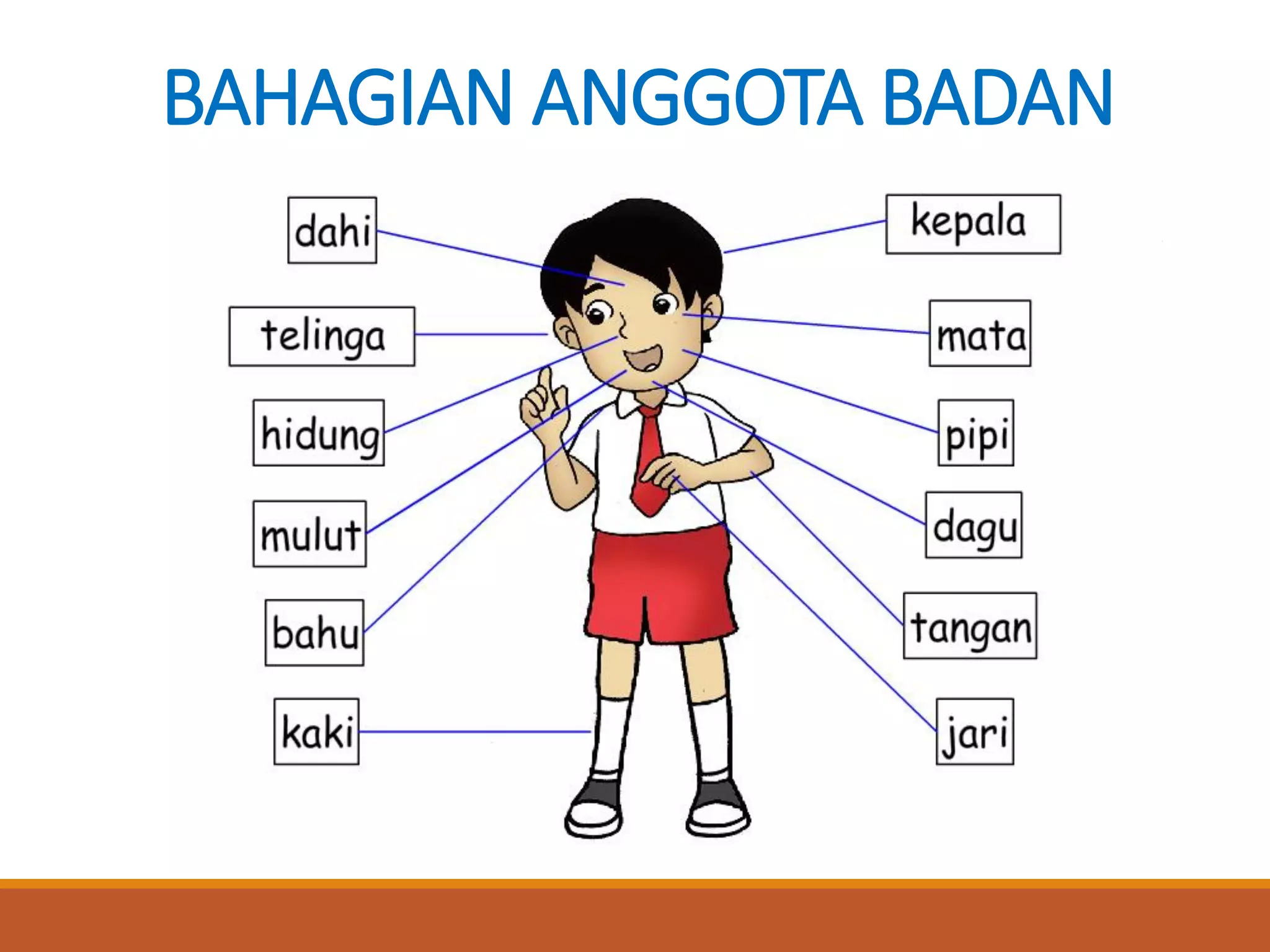 ULANGKAJI TAJUK 1 ANGGOTA BADAN MANUSIA.pdf