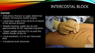 Regional Blocks of the Upper Limb and Thorax RRT | PPTX