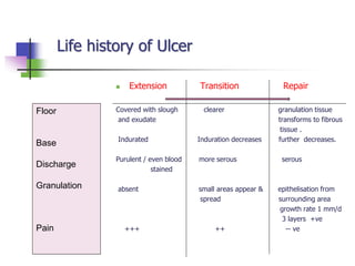 Ulcer | PPT