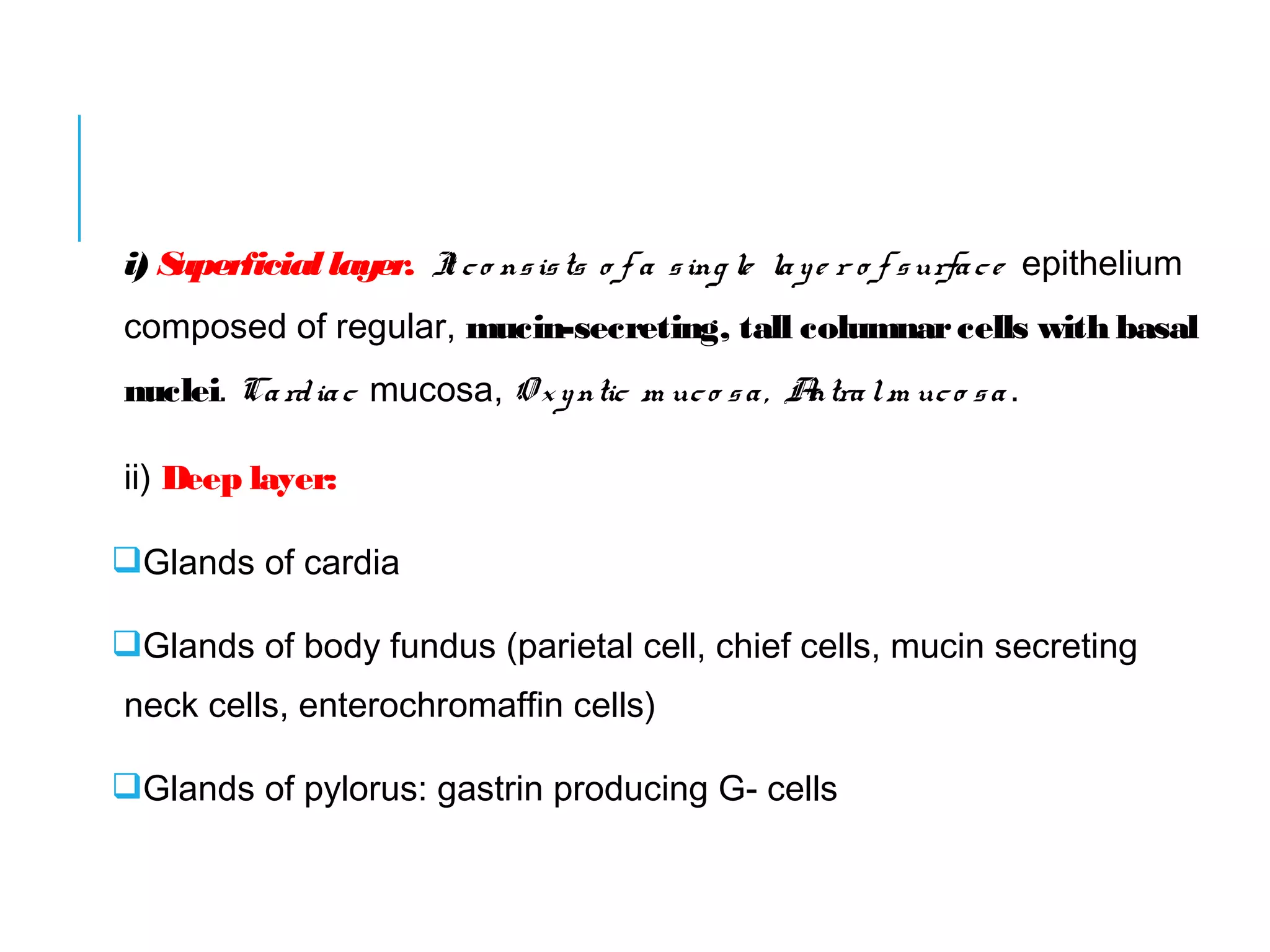 Etiology and Pathogenesis of Peptic Ulcer | PPT