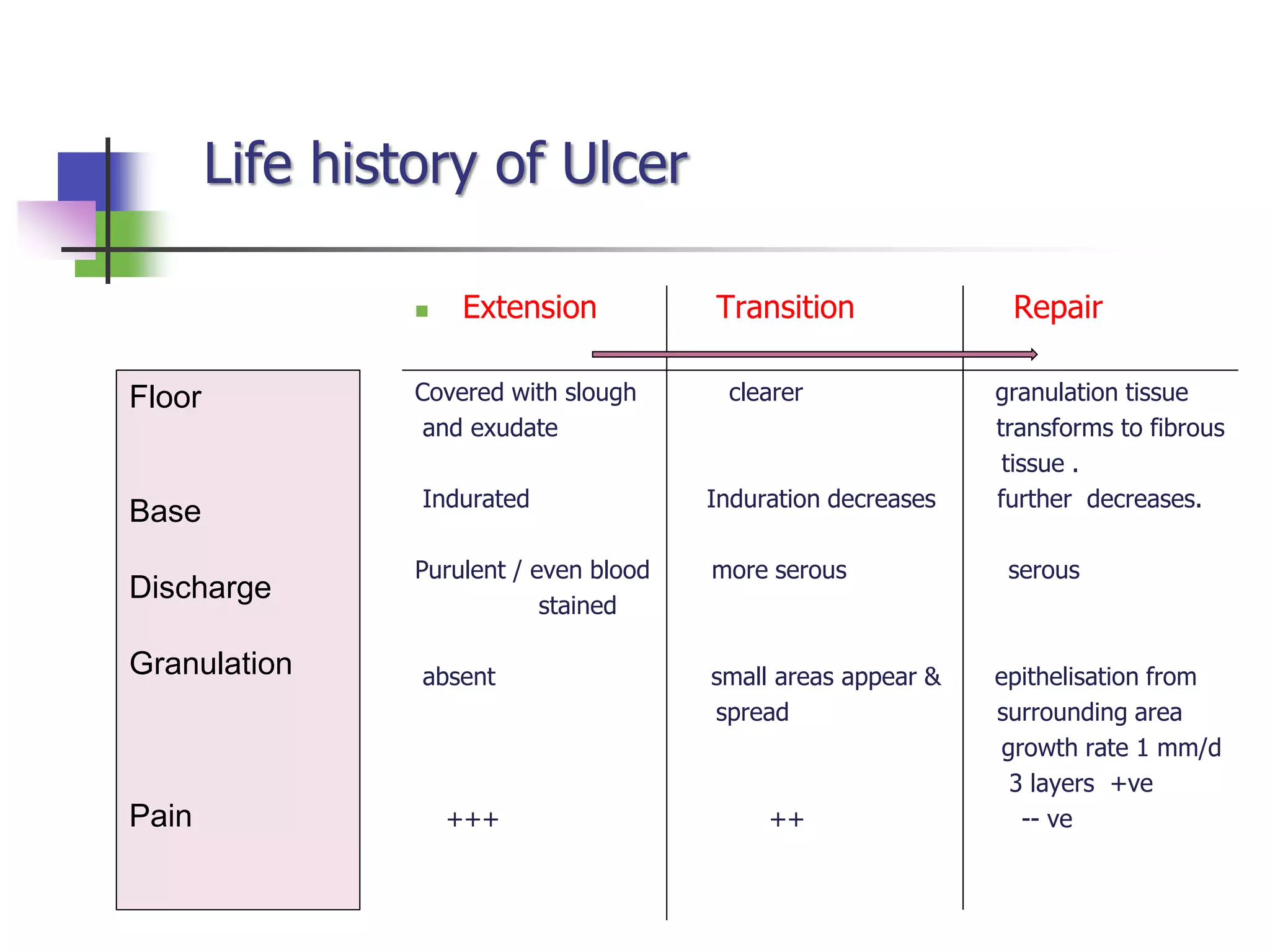 Ulcer by Dr.Prashant patil | PPTX