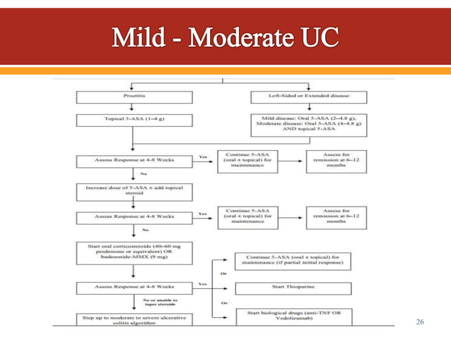 Ulcerative Colitis: Case Presentation & Disease Overview | PPTX | Digestive Disorders | Diseases ...