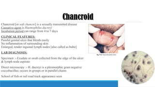 ULCERATIVE GENITAL DISEASE- microbiology | PDF