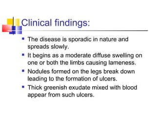 Ulcerative lymphangitis | PPT
