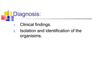 Ulcerative lymphangitis | PPT