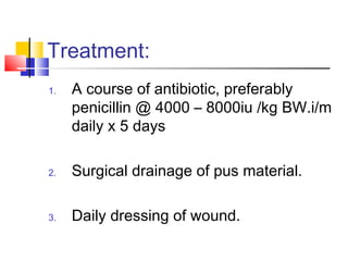 Ulcerative lymphangitis | PPT