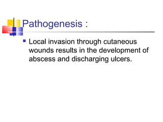 Ulcerative lymphangitis | PPT