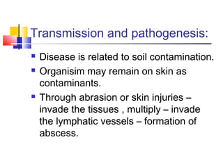 Ulcerative lymphangitis | PPT