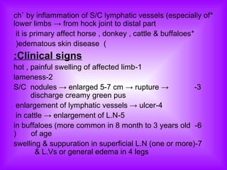 Ulcerative lymphangitis | PPT