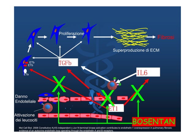 Ulcere digitali sclerodermiche.ppt [compatibility mode] | PDF