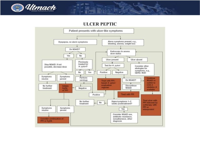 Ulcer peptic algorithm | PPT