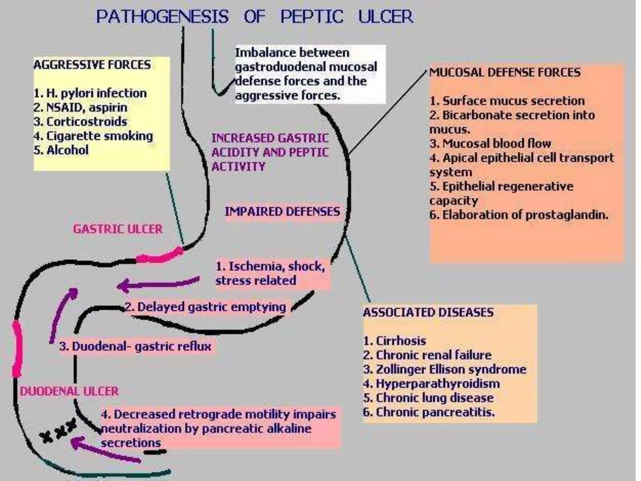Ulcer ppt | PPTX