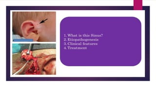 Ulcer, sinus and fistula pbl case scenario triggers | PPT