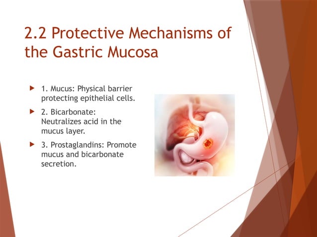 Ulcers_Presentation (2).pptx pharmacology | PPTX