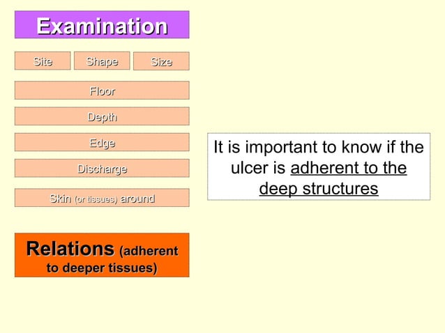Leg Ulcers - Clinical diagnosis | PPT
