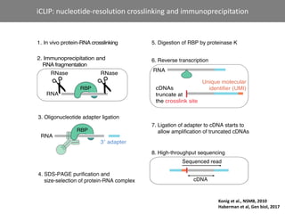 Protein-RNA Complexes, ALS and Aging | PDF