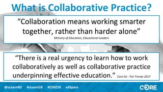 Teacher Librarian Collaborative Practice | PPTX