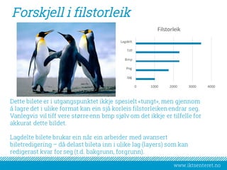 Ulike biletformat og_komprimering 7.kl_nn | PPT
