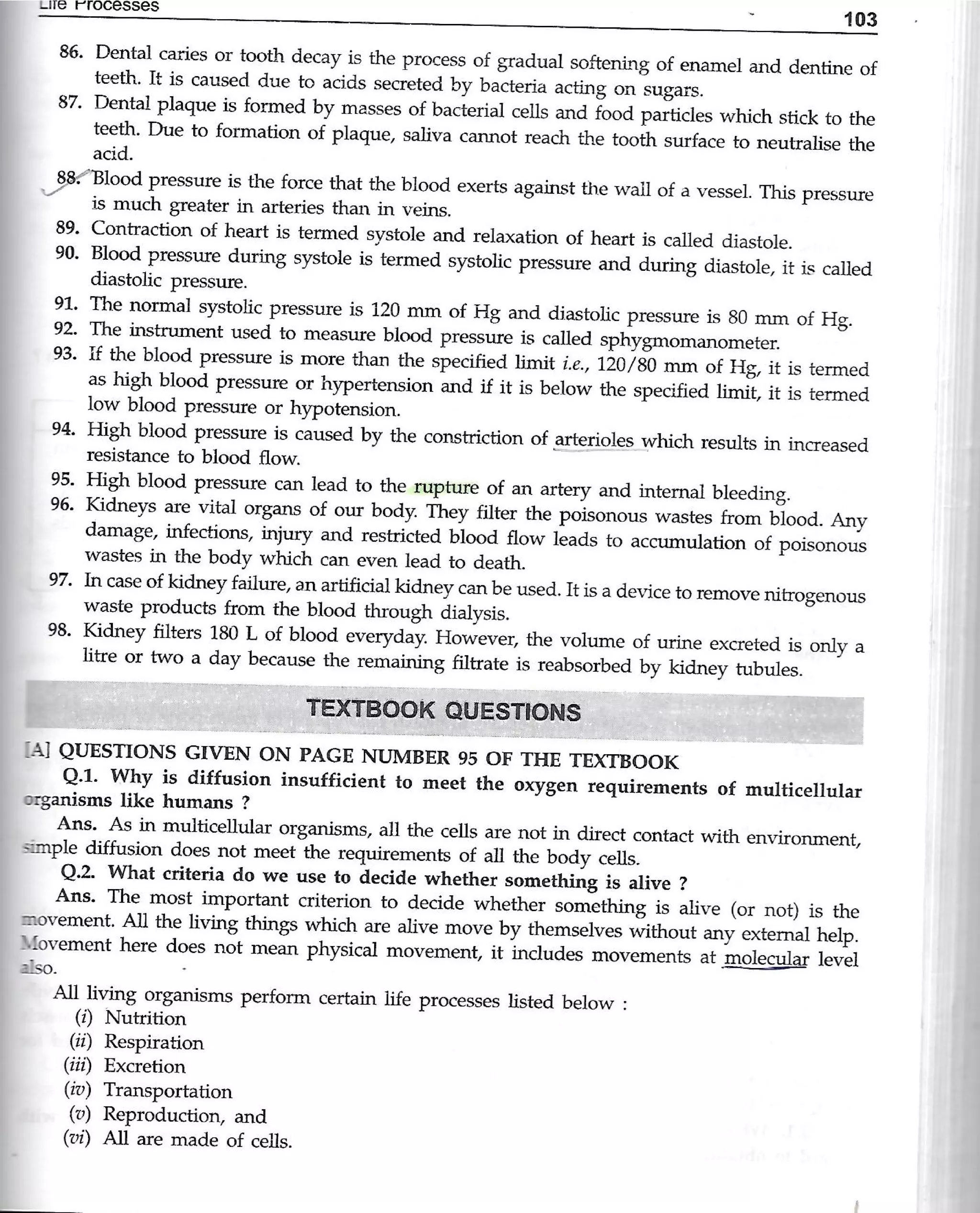 Ulike science SAMPLE PAPER (BIOLOGY)LIFE PROCESS | PDF