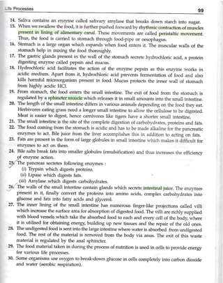 Ulike science SAMPLE PAPER (BIOLOGY)LIFE PROCESS | PDF