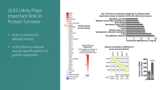 ULK2 is essential for degradation of ubiquitinated protein aggregates ...