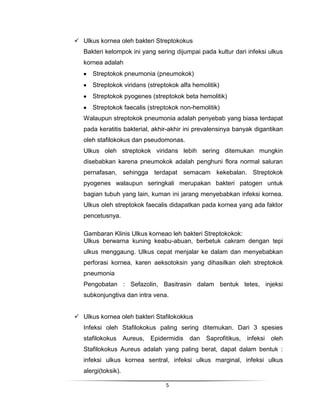 Ulkus kornea | DOCX