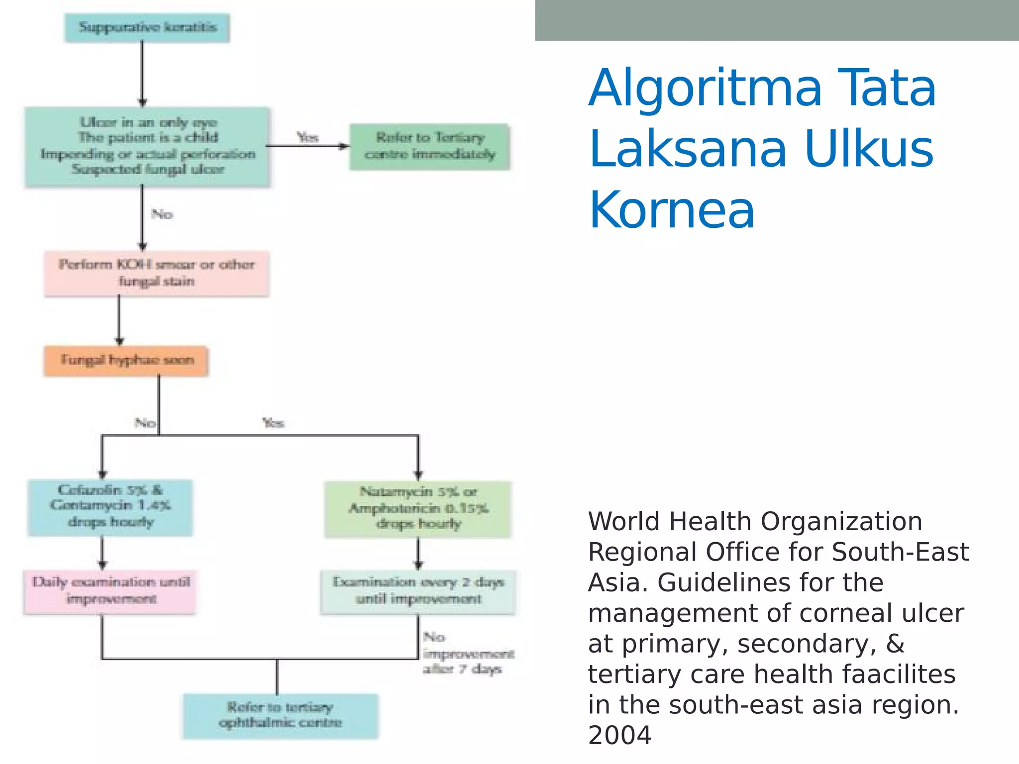 Ulkus kornea | PDF