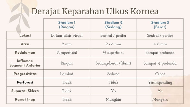 Ulkus Kornea.pptx