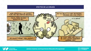 (CASO CLÍNICO DE HENRY MOLAISON) (1).pdf